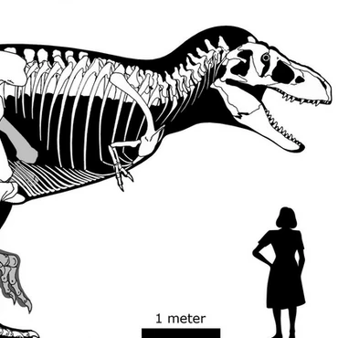 Discuss Everything About Dinopedia | Fandom