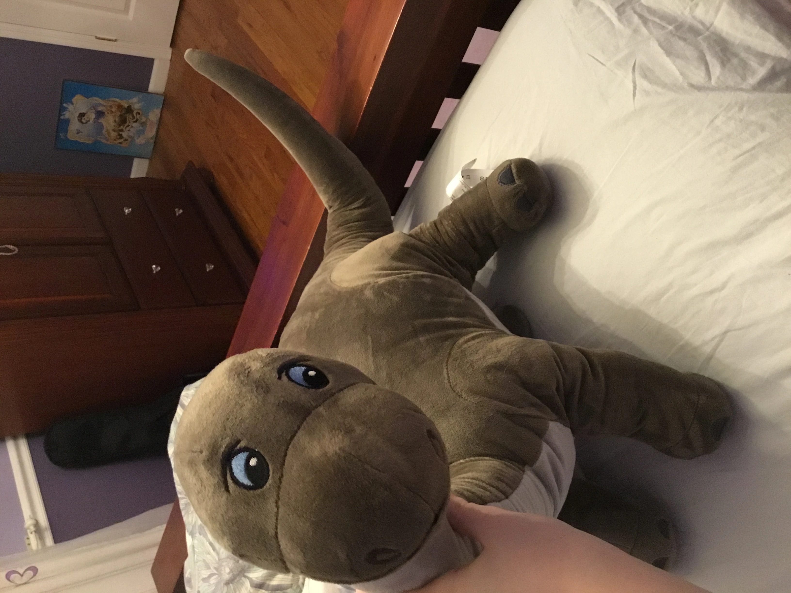 Meet my emotional support Dino! | Fandom