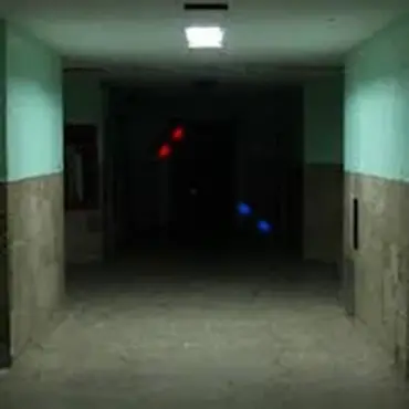 Favorite Entity 555 Level? | Fandom