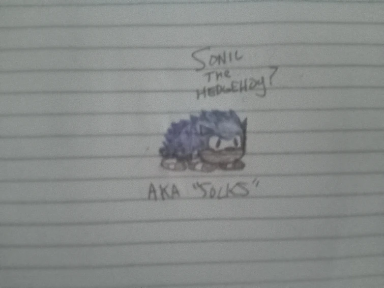 Discuss Everything About Sonic Wiki Zone | Fandom