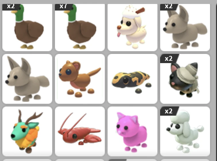 Discuss Everything About Adopt Me! Wiki | Fandom