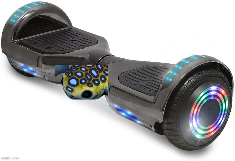 hoverfish | Fandom