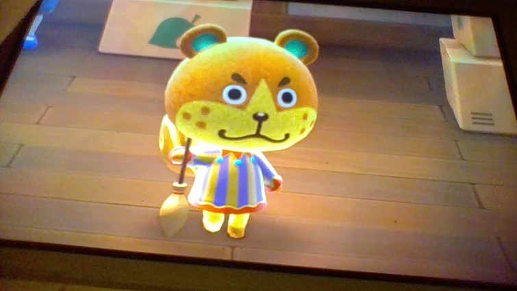 Discuss Everything About Animal Crossing Wiki | Fandom
