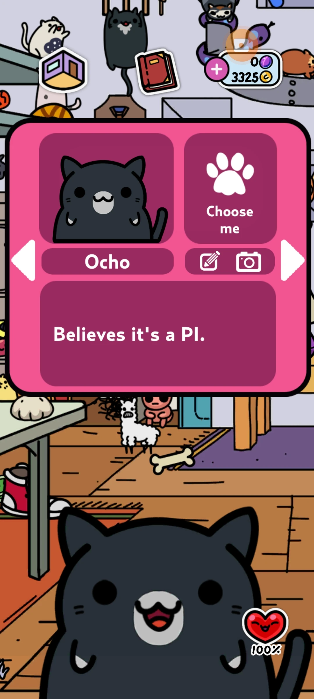 Ocho is a cat now | Fandom