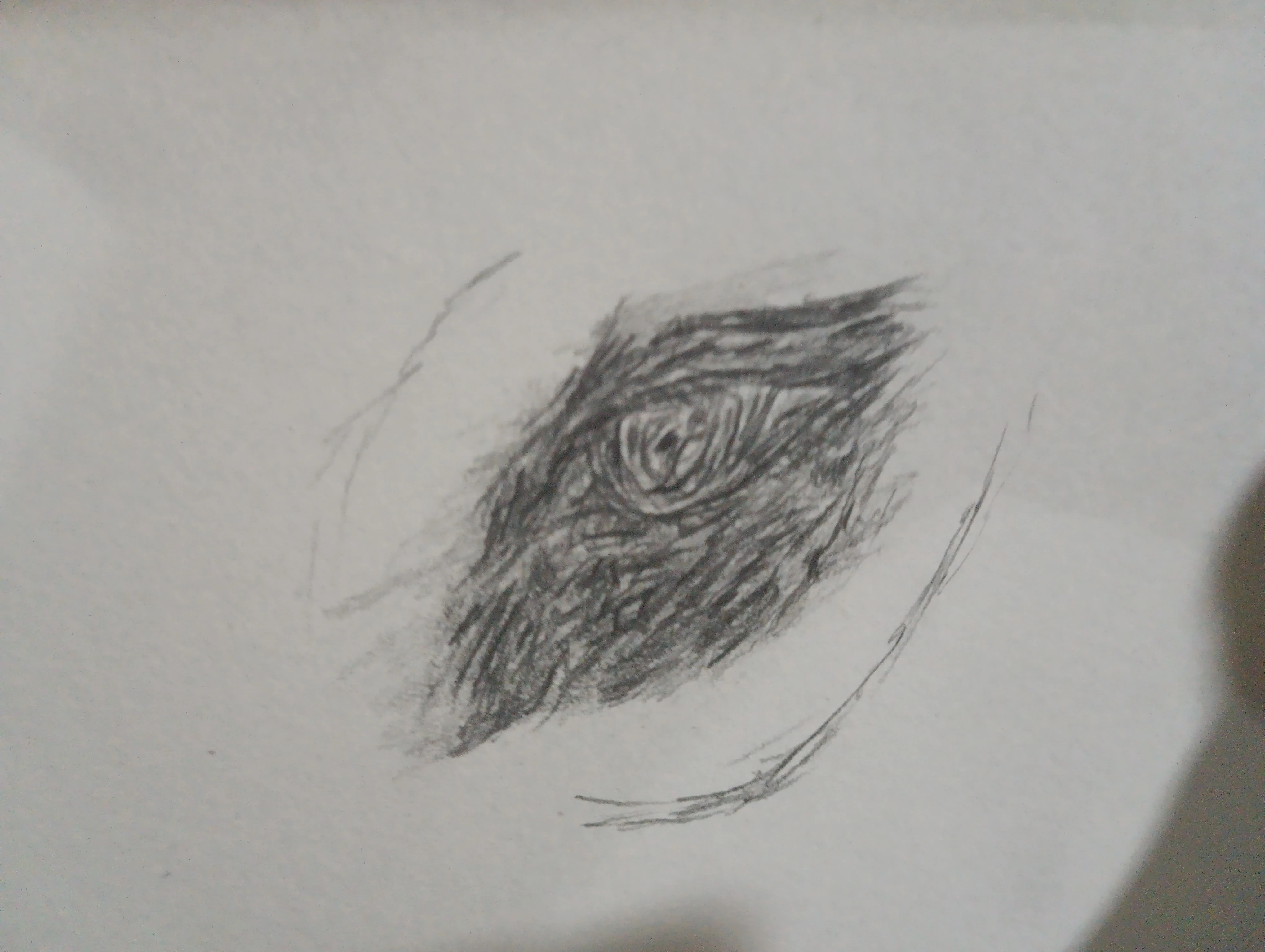 Random eye doodle | Fandom