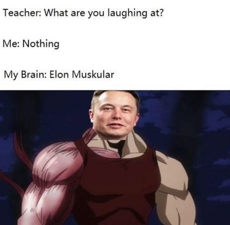 Elon muskular | Fandom