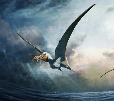 Discuss Everything About Dinopedia | Fandom