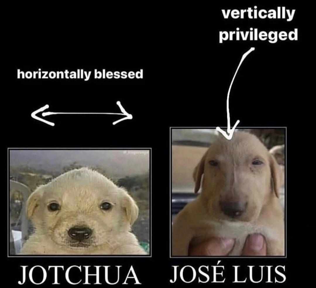 yare yare daze | Fandom