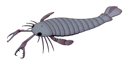 Jaekelopterus | Fandom