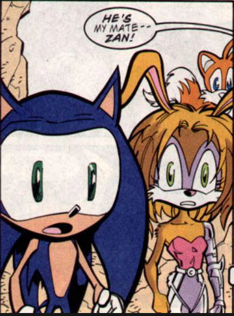 There's many things I'm fearing during my Archie Sonic re-read. This ...