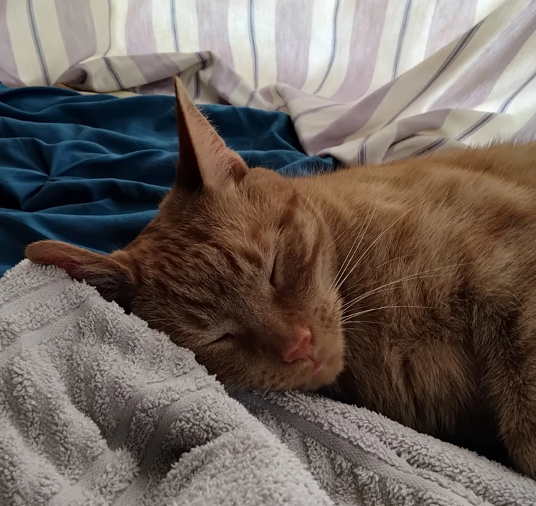 charlie image dump | Fandom