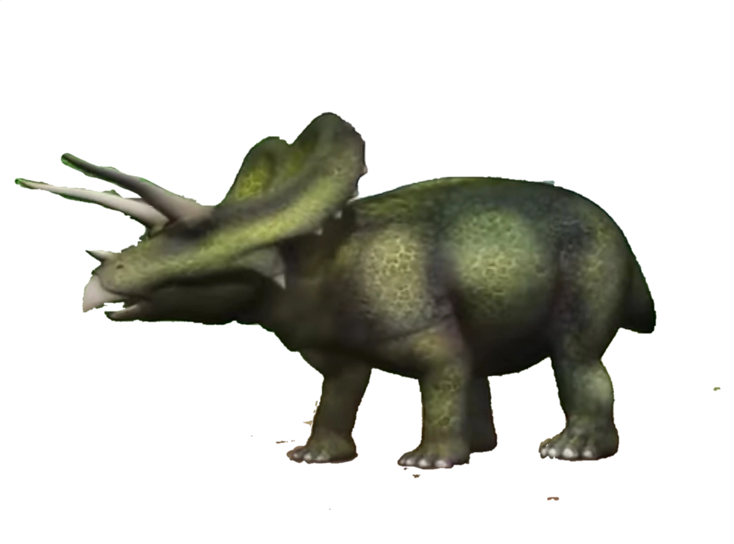 Dbwc round 2 to final (both season my ver) | Fandom