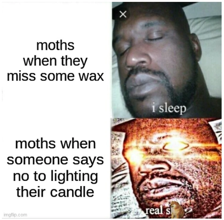 Sky Memes: Part 2 | Fandom