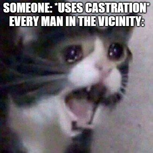 Castration meme i made | Fandom