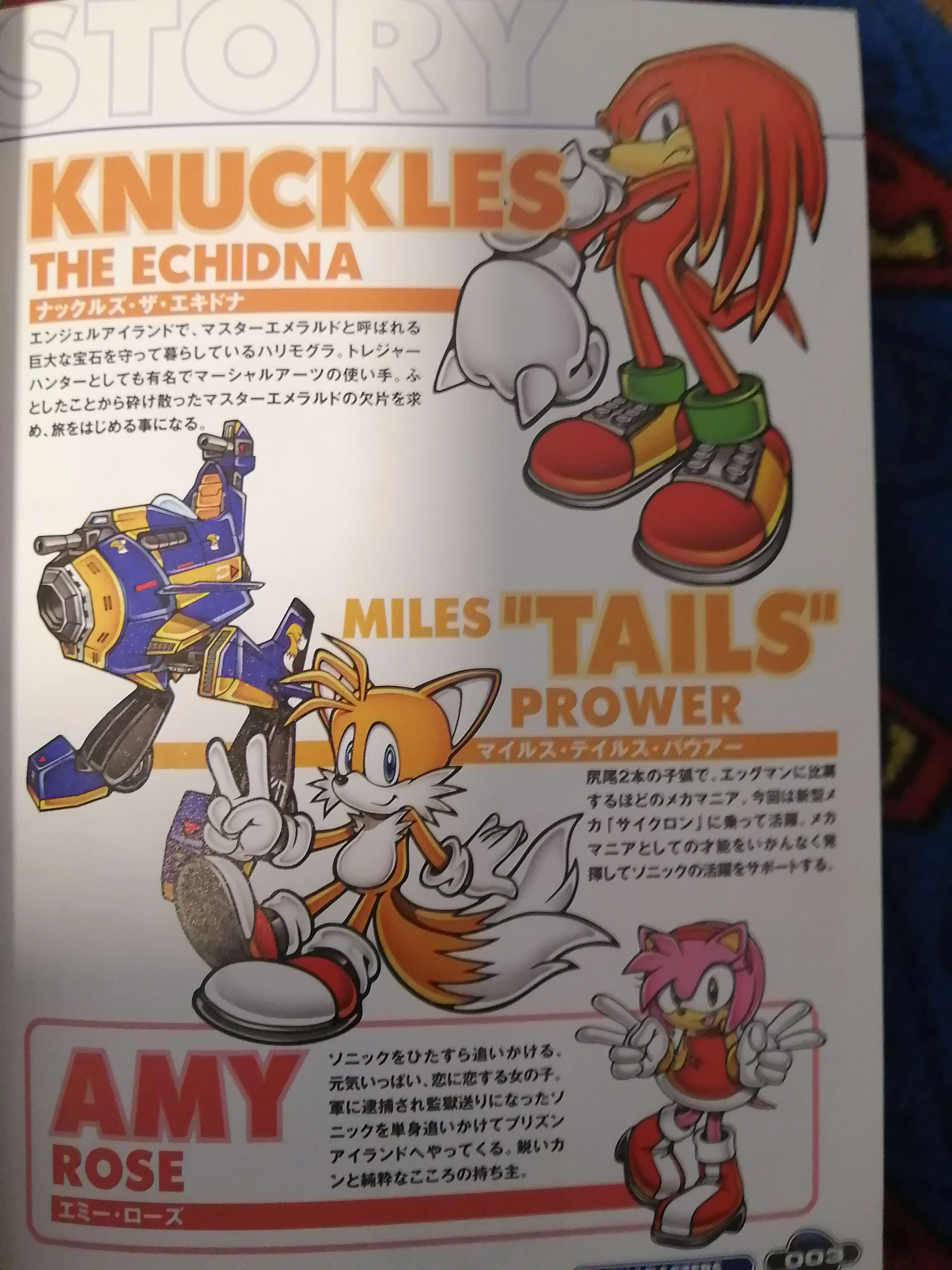 Check out the Sonic Adventure 2 Hero/Dark Manual one of our editors ...