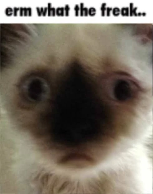 MOTOROUK HAS 2 TAILS?????? | Fandom