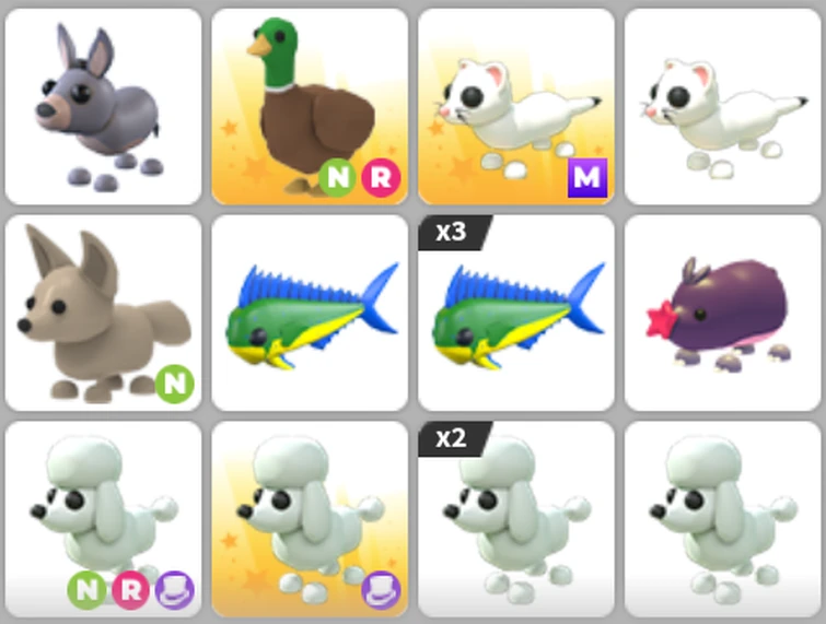 Discuss Everything About Adopt Me! Wiki | Fandom