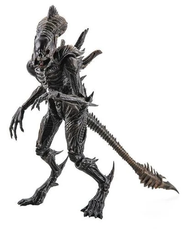 Discuss Everything About Xenopedia | Fandom