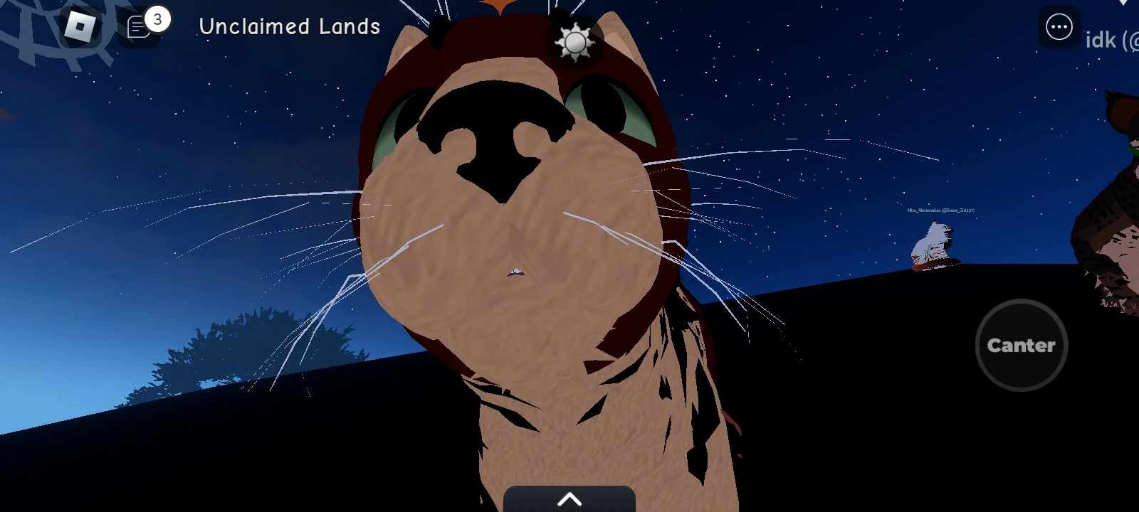 stupid noobador cat | Fandom
