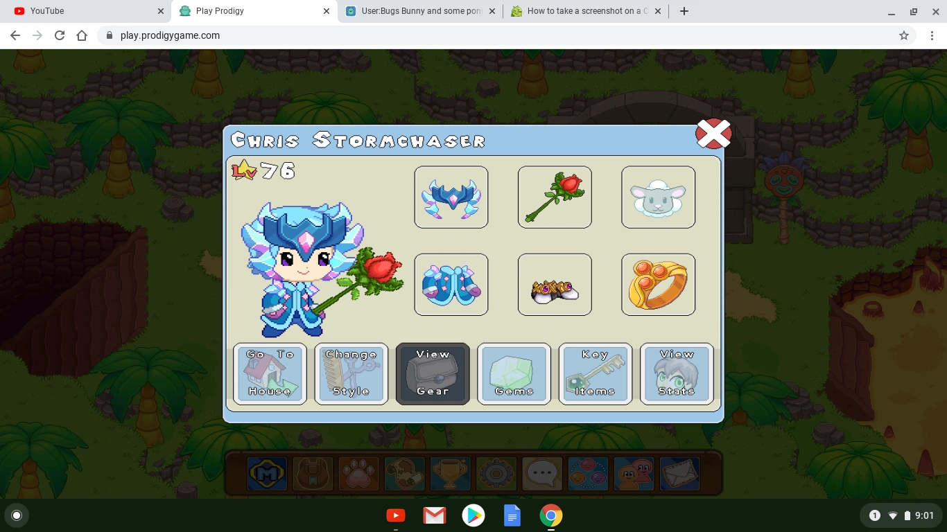 Could anybody draw my wizard with my pets? | Fandom