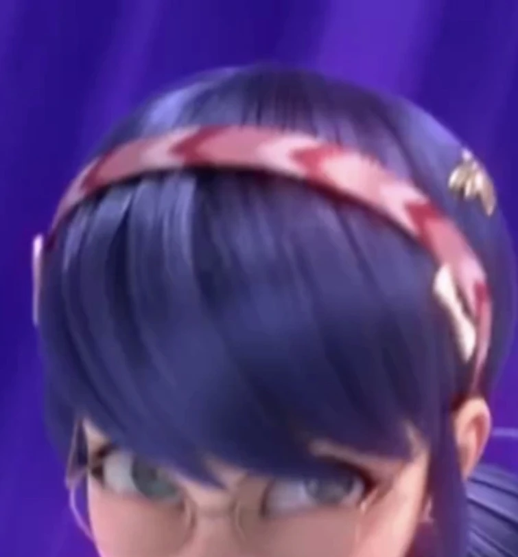 Miraculous Camouflage | Fandom