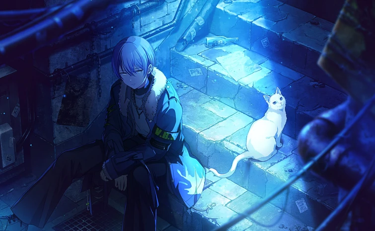 My fav toya cards | Fandom