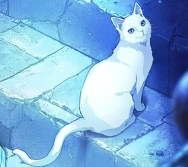 Which of Toya’s cats is the best (even though I’m pretty sure three of ...