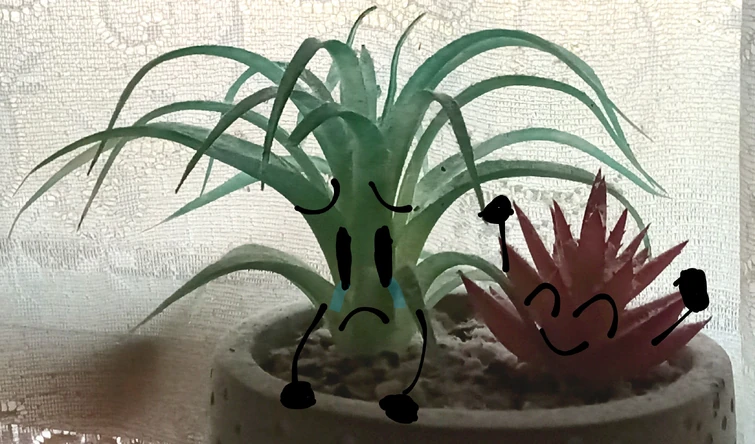 I found Grassy and [Unknown name of the Red Grassy] in real life! | Fandom