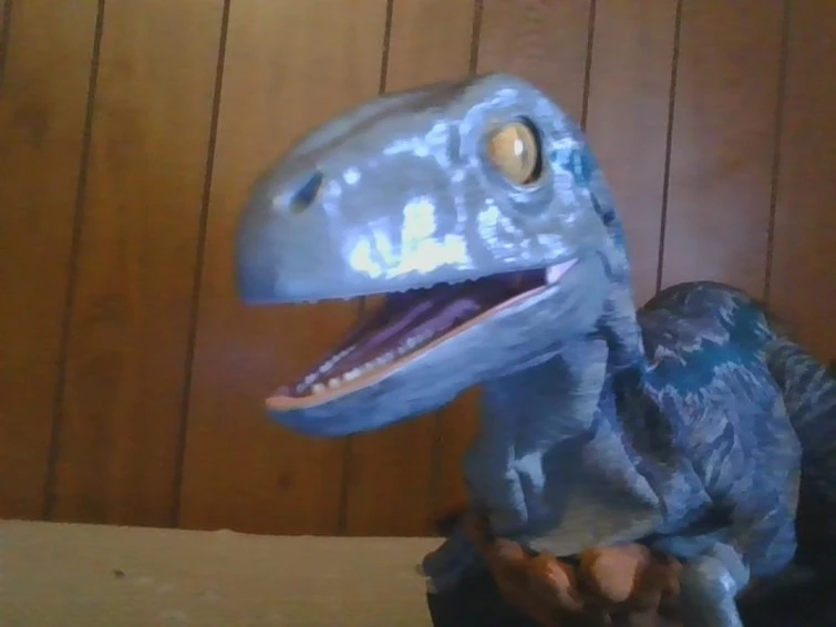 Pictures with Blue | Fandom