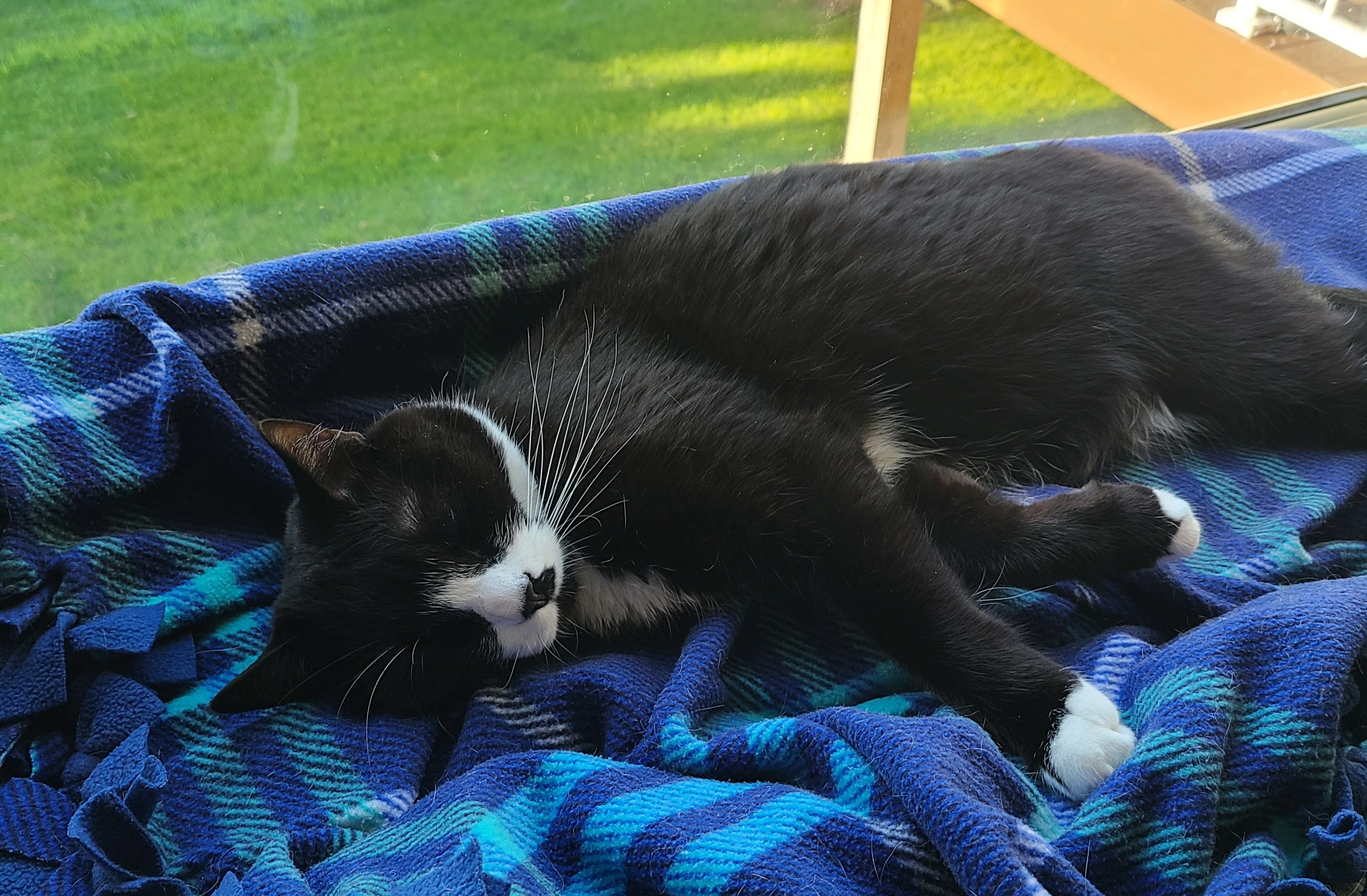 Baby is completely zonked out | Fandom