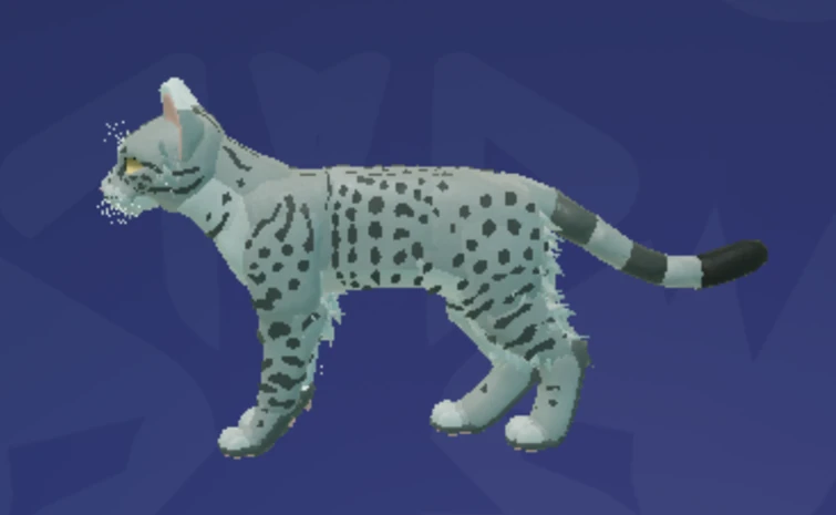 Creating Popular Cat Breeds in WCUE {Part One} | Fandom