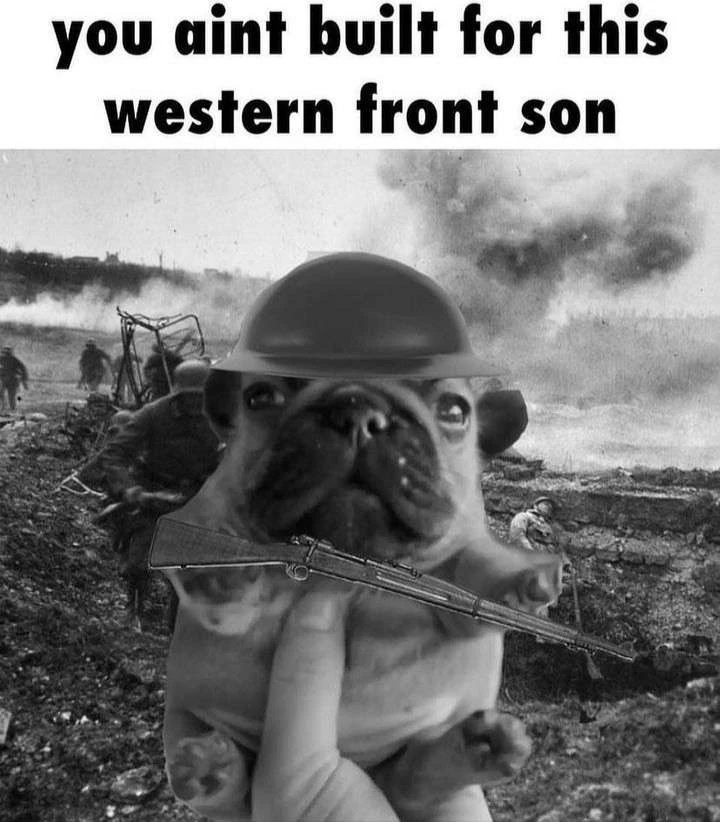 You ain’t built for this, western front son : | Fandom