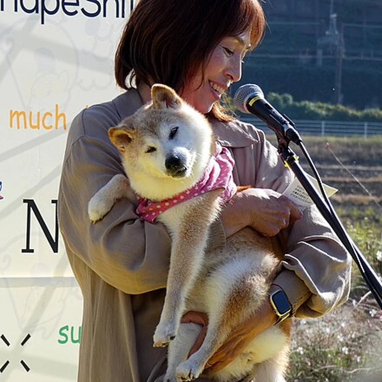 R.I.P. Doge 2005-2024 | Fandom