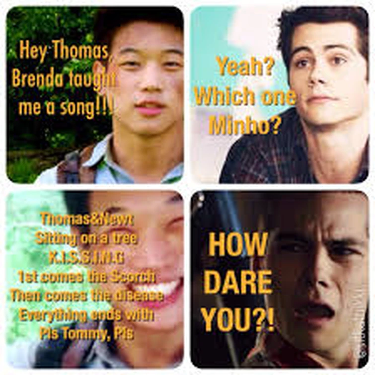 Maze runner memes | Fandom