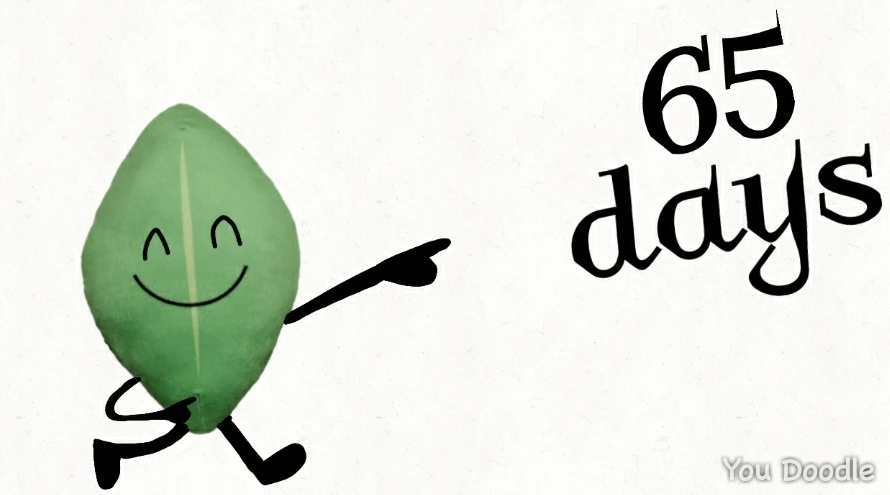 65 days until ordering a Leafy Plush | Fandom