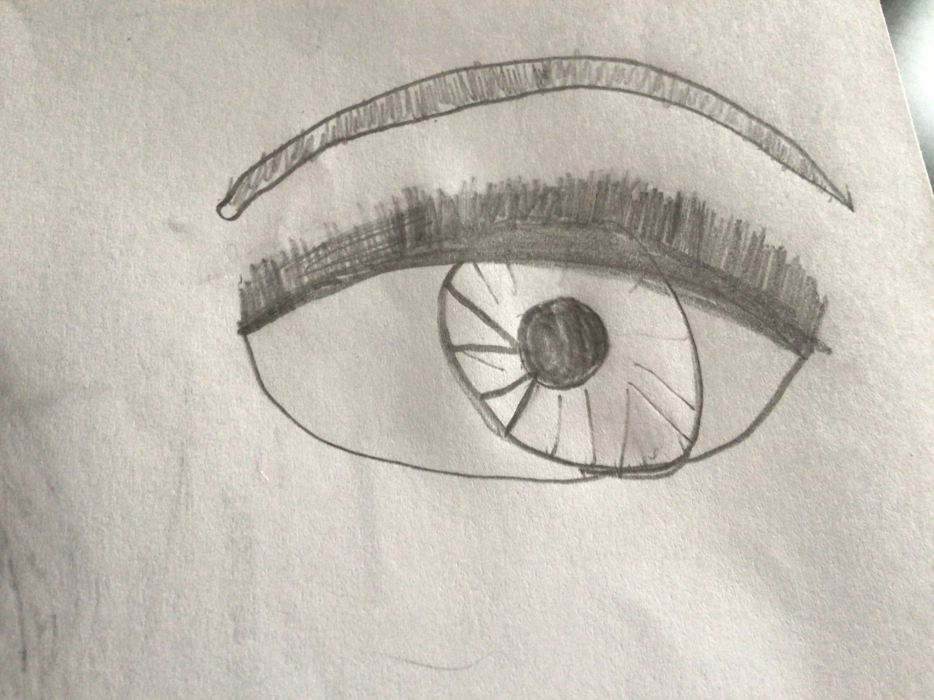 Who wants to see a terrible eye drawing? I tried ok? | Fandom