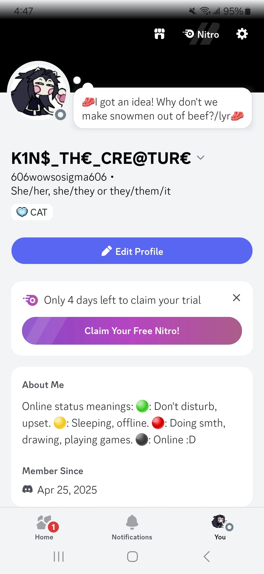 My discord user if you wanna friend me even tho probably most ppl friended me | Fandom