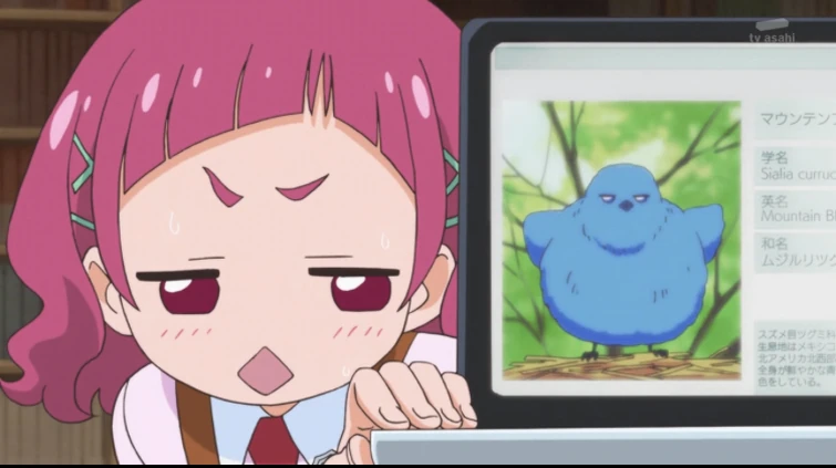 Some Pretty Cure screenshots that I find funny… | Fandom