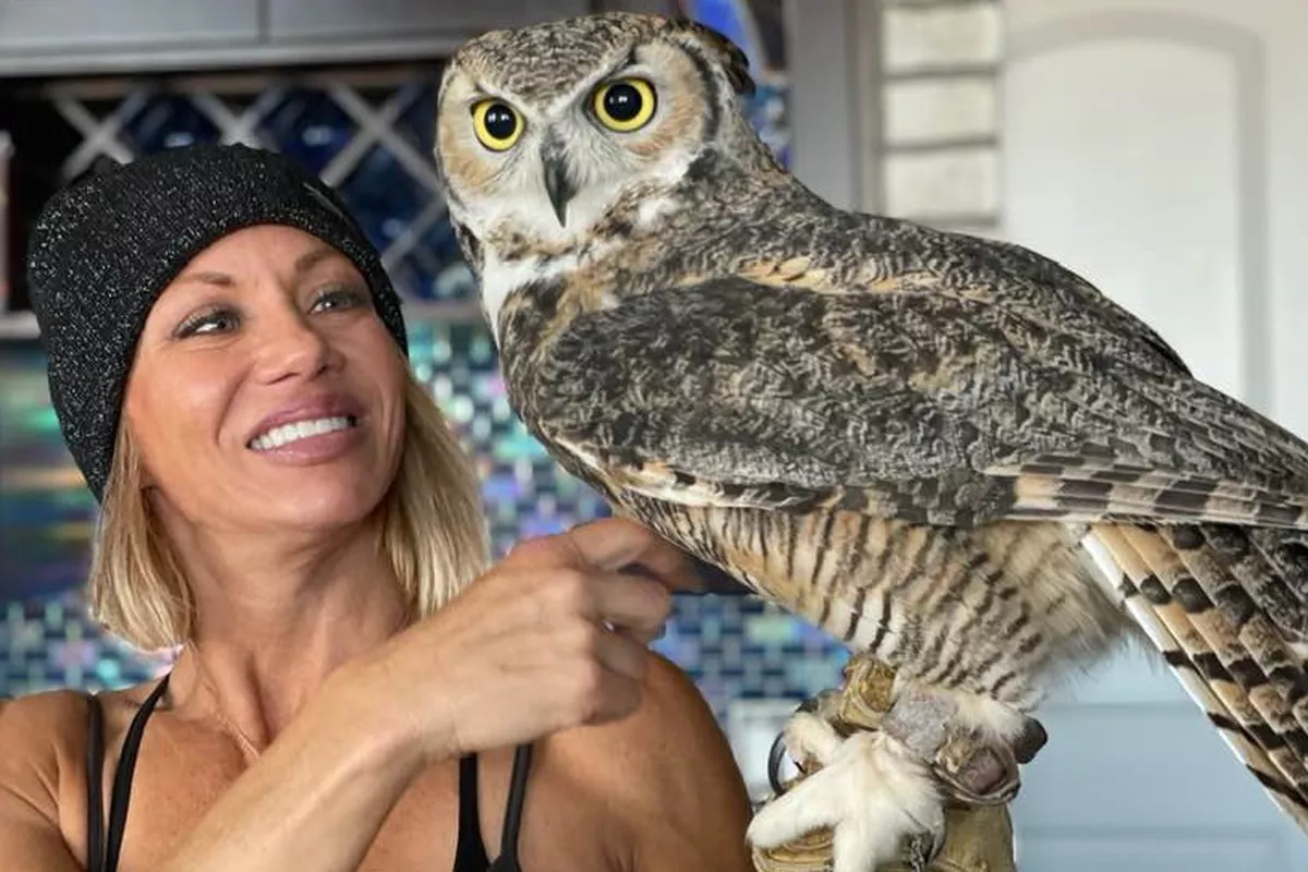 You guys want some good owl content? | Fandom