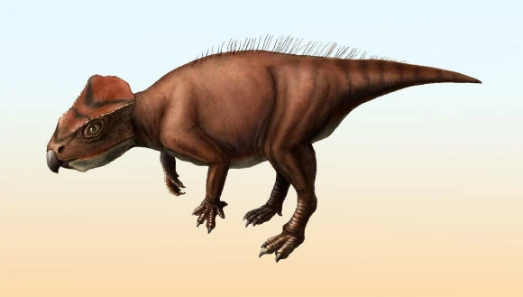 Ah Yes. True sussy Baka name for a New dinosaur ! | Fandom