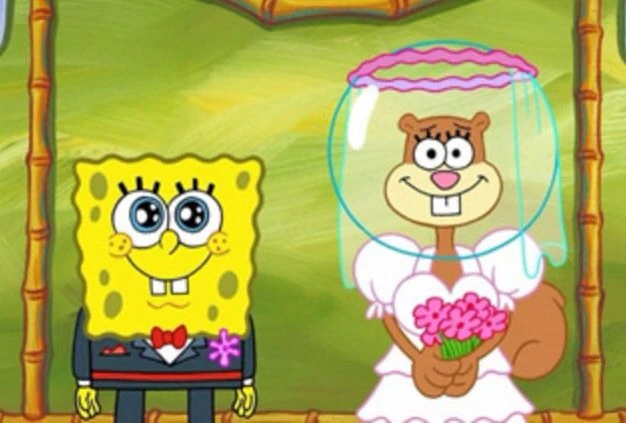 Does Anyone think that Spongebob and Sandy are Really Married? | Fandom