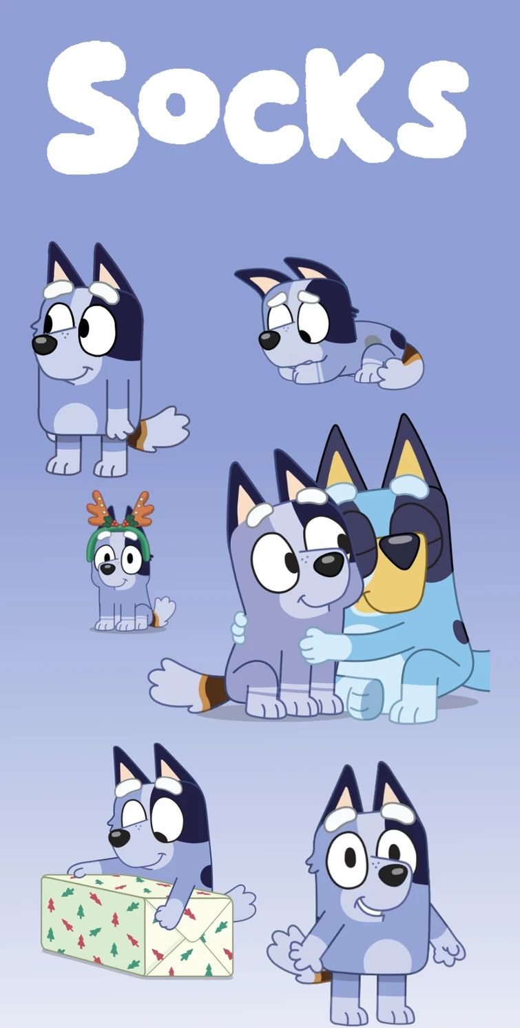 Socks wallpaper | Fandom