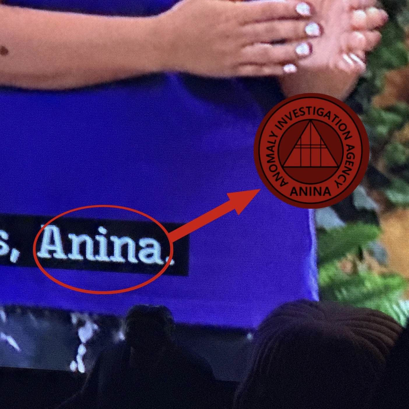 ANINA?!? | Fandom