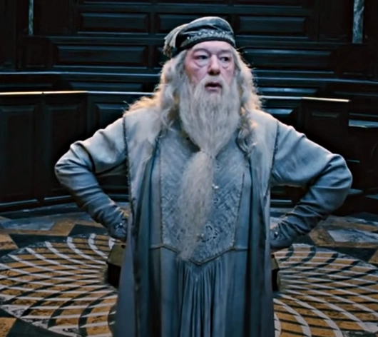 Dumbledore meme | Fandom