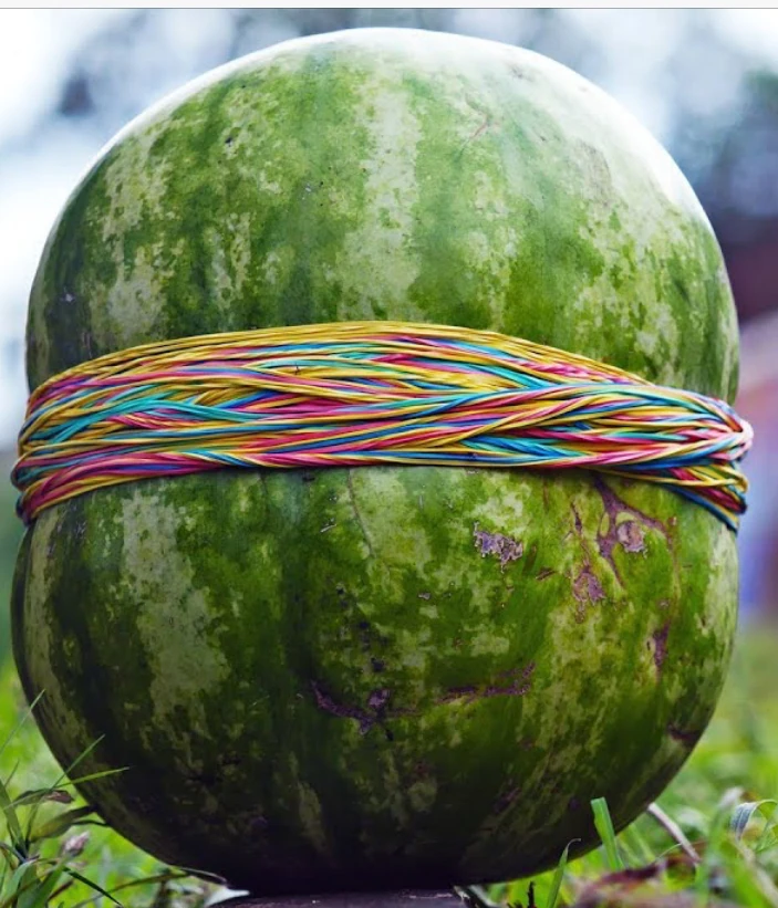 Weapon idea: Watermelon Bomb | Fandom
