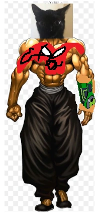 hello warriors | Fandom