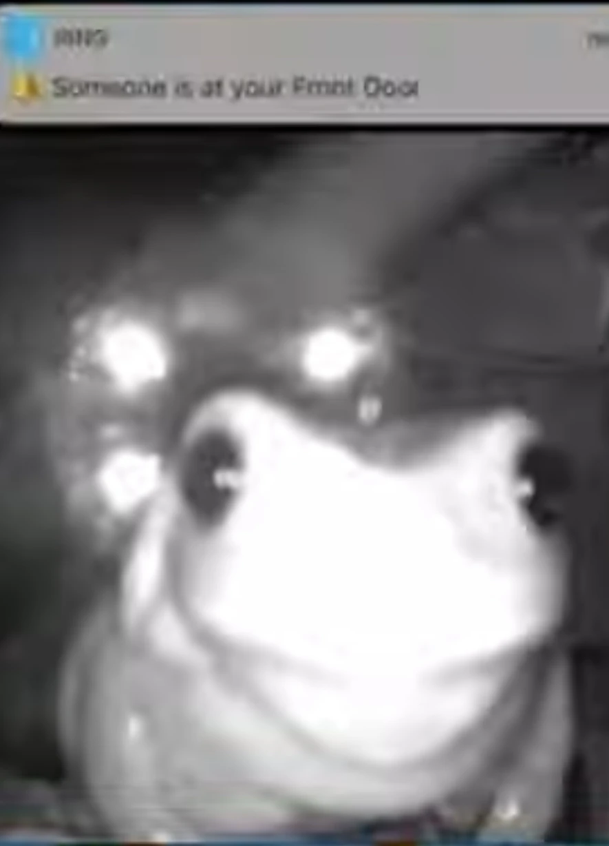 dandy when you don’t buy from his doodoo selection | Fandom