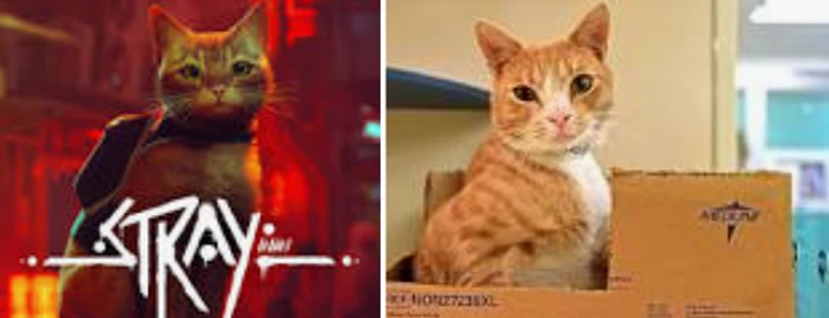 Discuss Everything About Stray Wiki | Fandom