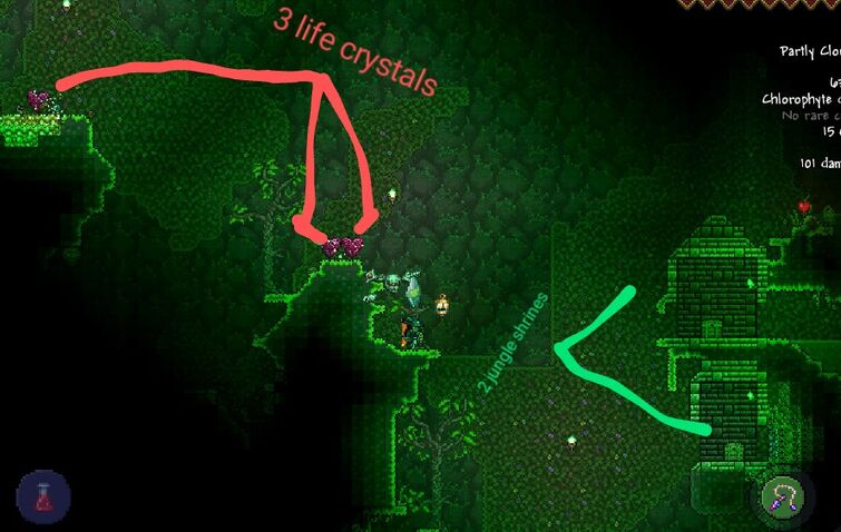 Discuss Everything About Terraria Wiki | Fandom