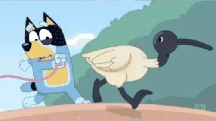 Bin Chicken | Fandom